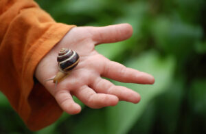 Slow Processing Speed in Children: Symptoms and What to Do - Cadey