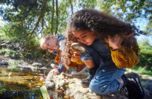 Restricted Interests in Children: Signs, Causes, Professional Advice ...